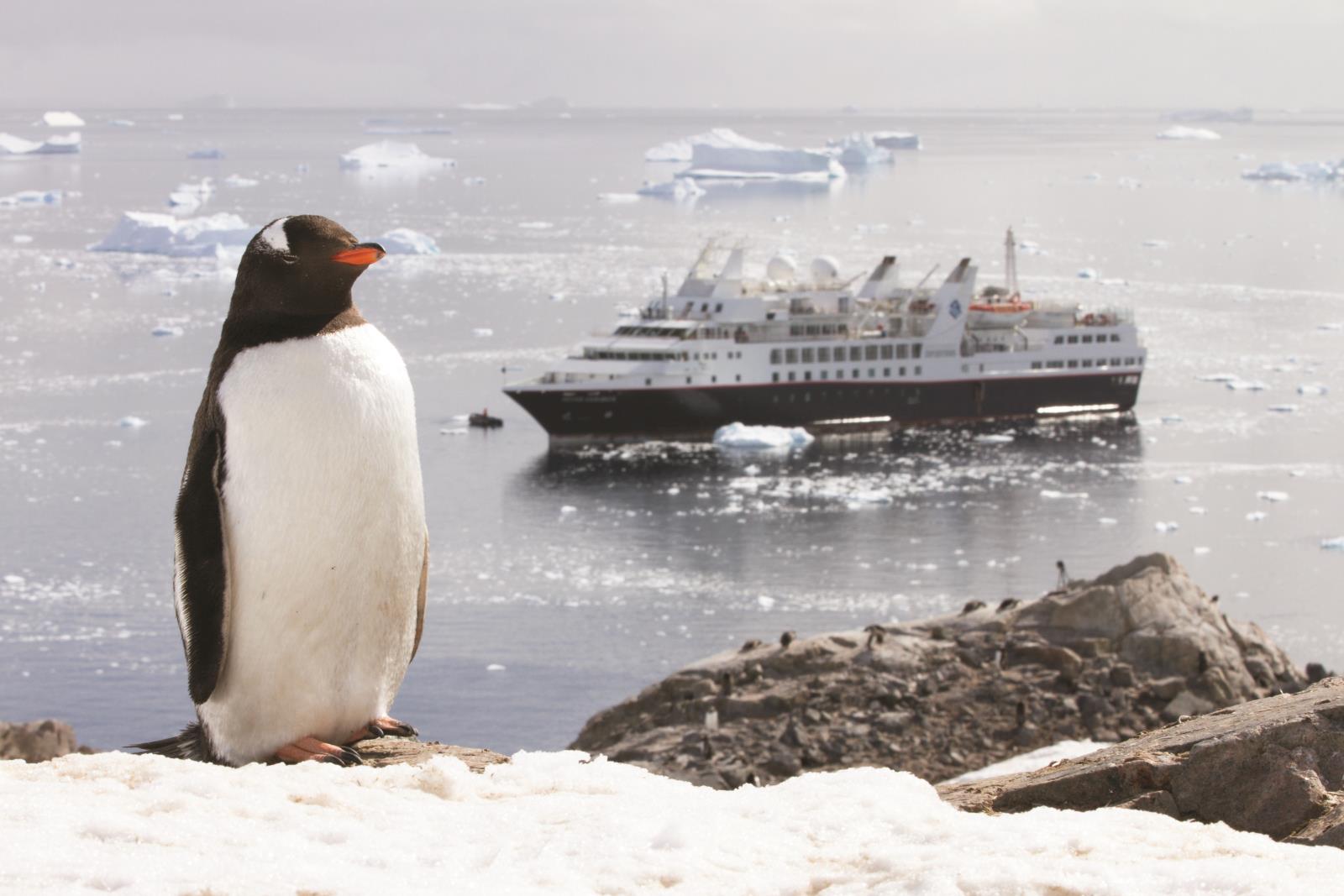 724049-gentoo-penguin-silversea-silver-explorer-antarctic-peninsula ...
